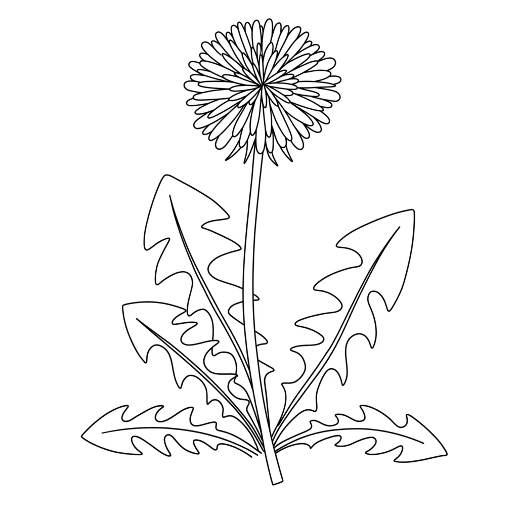 24 Free Dandelion Coloring Pages - Printable PDFs