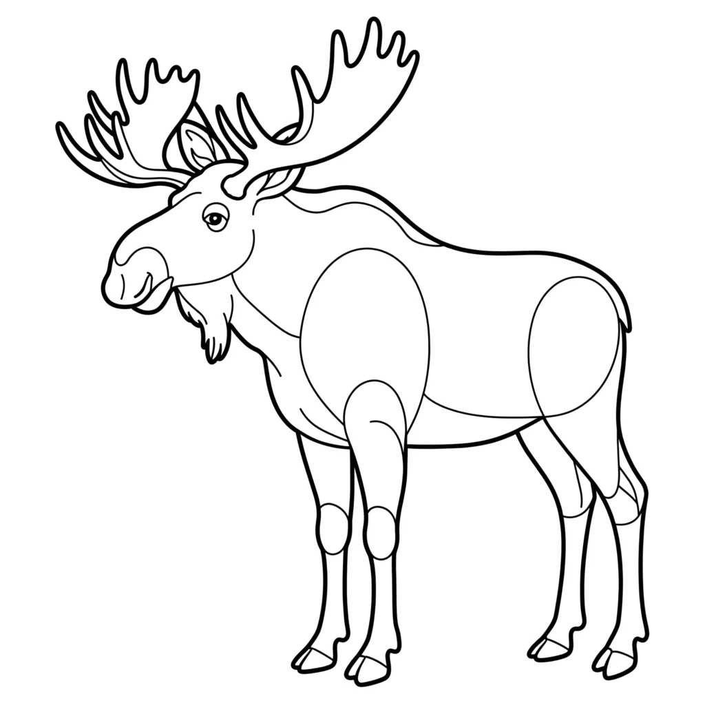 Pagina Da Colorare Di Cucciolo Di Alce